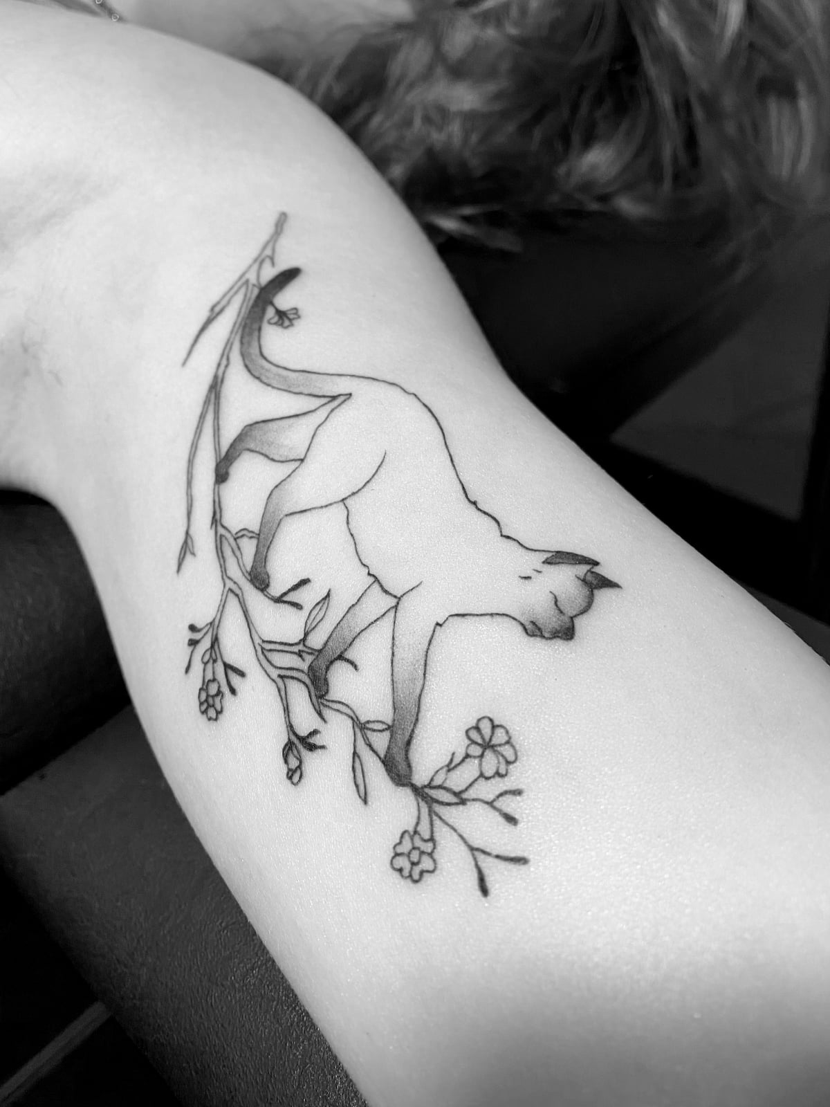 Lucidda Tattoo Jujuy